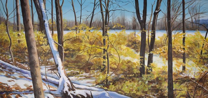 Kathy Anderson Art - See the latest works, classes etc. of Artist Kathy ...